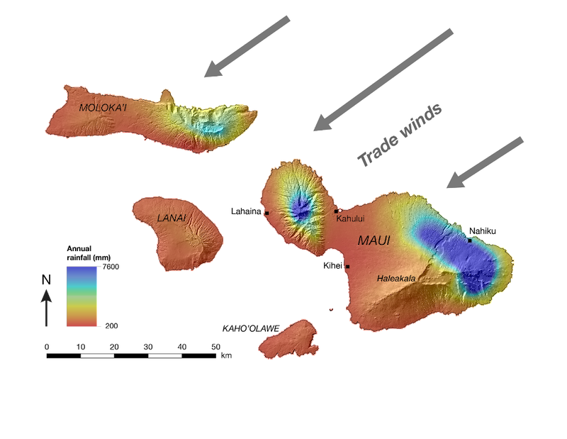 Water in the Atmosphere | Earth Science | Quiz | Visionlearning